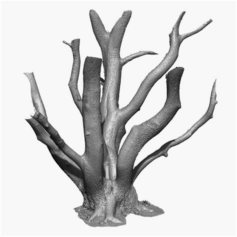 Artstation Massive Multi Stem Oak Tree 3d Model 8x4k 4x16k Textures