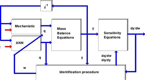 Identification Of Ann Parameters Using Sensitivity Equations Approach