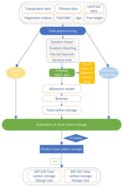 Improving Total Carbon Storage Estimation Using Multi Source Remote Sensing