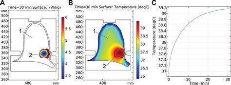 The Specific Absorption Rate A Temperature Distribution B And Download Scientific Diagram