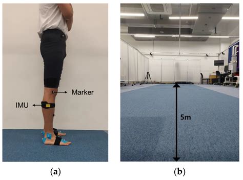 sensors free full text prediction of lower extremity multi joint