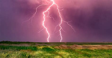 Mickey Ferrell On Linkedin Emergency Preparedness For Professionals