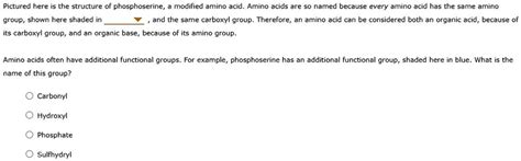 Phosphate Functional Group Example
