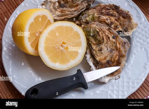 Preparation Of Shellfish For Consumptionopen It On The Background Of