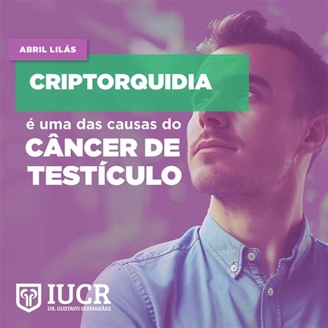 Criptorquidia é Uma Das Causas Do Câncer De Testículo