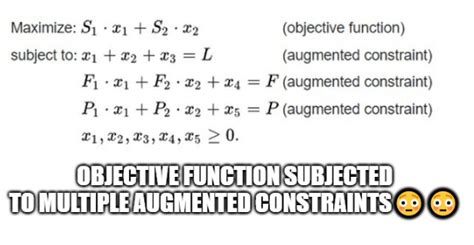 My Horny Ass Could Never Linear Programming Rokbuddyphd