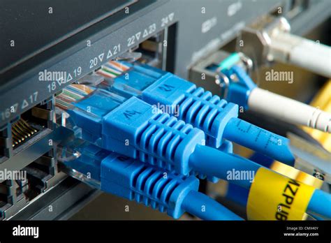Network Cables Connected To Hub Stock Photo Alamy