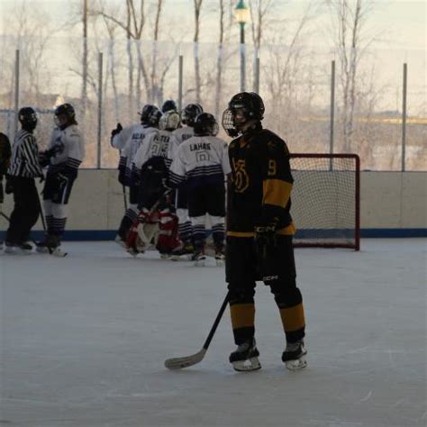 Li Arsenault Stats Contract Salary More