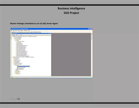 Ssis Project Profile Ppt