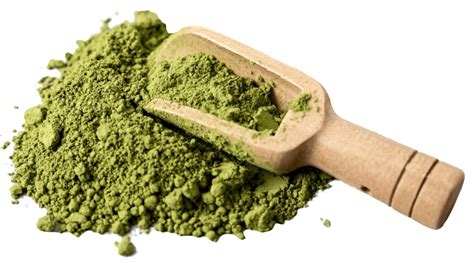 Wholesale Organic Barley Grass Powder Bulk Supplier Sahara Foods Uk