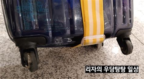 고장난 캐리어바퀴를 셀프로 교체하다 아메리칸투어리스트 네이버 블로그