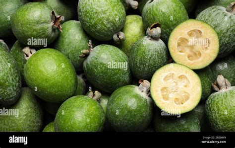 Fresh Green Feijoa Fruits As Background Closeup Banner Design Stock
