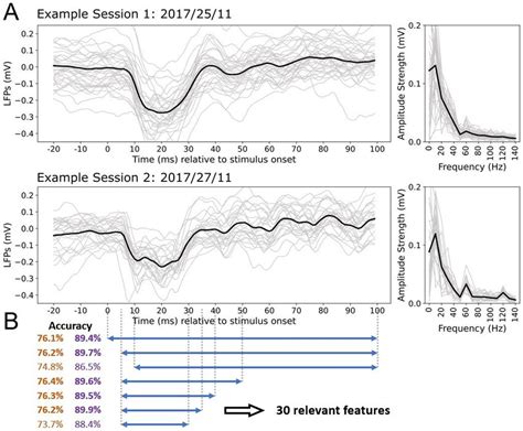 Selection Of Features Relevant For The ML Model Download Scientific Diagram