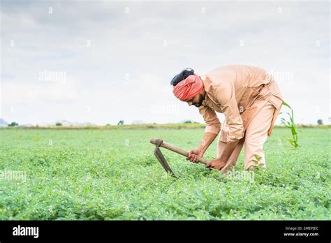 People Working Hard Farming