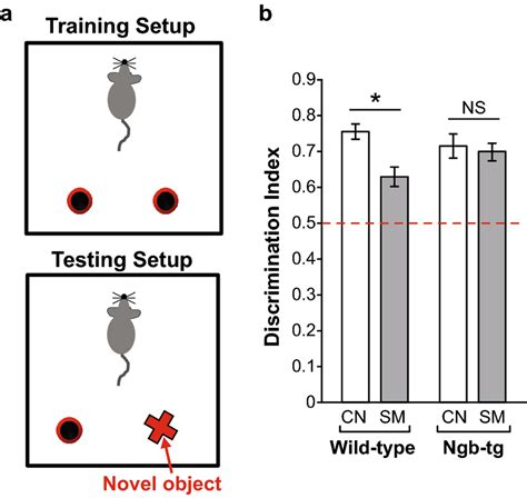 Novel Object Recognition Nor Testing Post Smoke Revealed A Memory