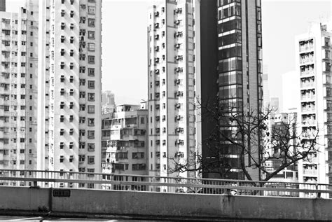 무료 이미지 검정색과 흰색 건축물 지평선 지붕 건물 시티 마천루 도시 풍경 도심 정면 단색화 탑 블록