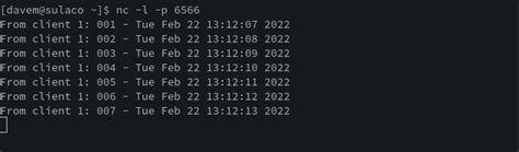 Cómo leer datos de un socket en Bash en Linux ResponTodo