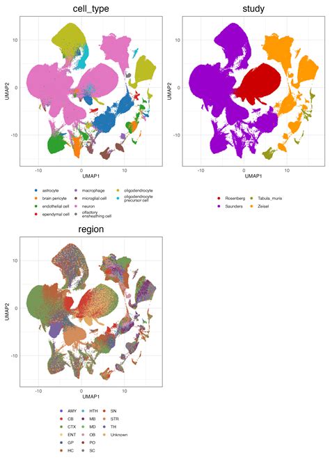 Dataset Mouse Brain