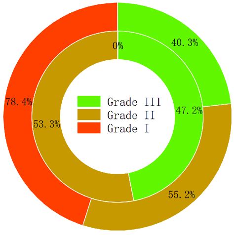 Accuracy Of The Rock Burst Risk Grade Prediction Note The Inner Ring