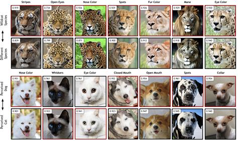Explain In Diffusionexplaining A Classifier Through Hierarchical Semantics With Text To Image