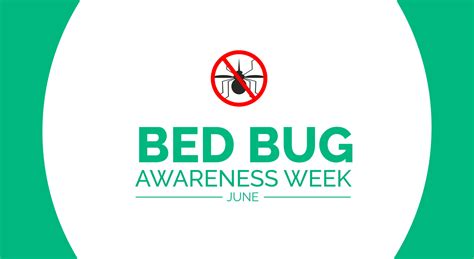 Bed Bug Awareness Week Background Or Banner Design Template Celebrated