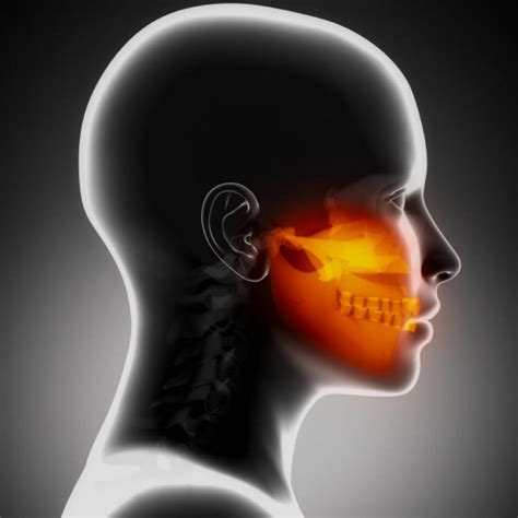 Tmj Dysfunction Back At It Sports And Wellness
