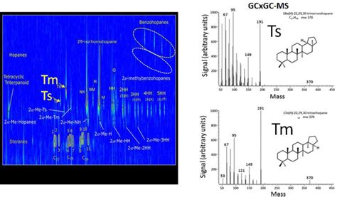 —thermal Maturity Markers Ts And Tm 20 Left Panel Gcxgc Download Scientific Diagram