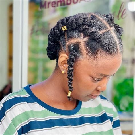 How To Flat Twist Protective Hairstyle 19 Ideas