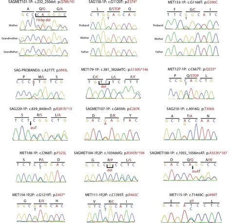 Figures And Data In Two Locus Inheritance Of Non Syndromic Midline Craniosynostosis Via Rare