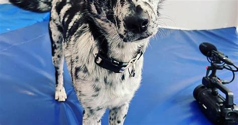 On Set With My Script Girl Album On Imgur