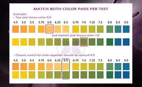 Ph Test Strips For Testing Alkaline And Acid Levels In The Body Track And Monitor Your Ph Level