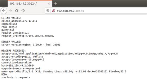 hello minikube deployment anote dev