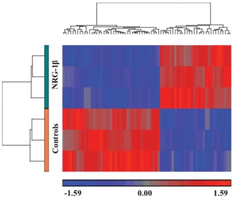 Hierarchical Clustering Of Genes Differentially Expressed Between The