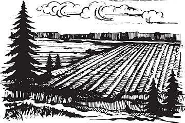 Agriculture Crops PNG Vector PSD And Clipart With Transparent Background For Free Download