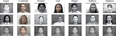 Figure 1 From Facial Affect Detection Using Convolutional Neural