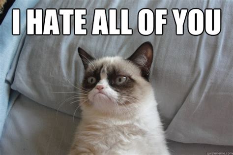 I Hate All Of You Grumpycatol Quickmeme