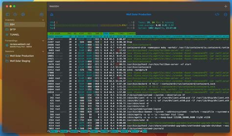 A Beginners Guide How To Set Up Web Ssh On Raspberry Pi