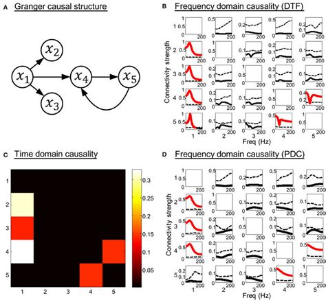 Simulation Results Of Toy Model 2 A Granger Causal Structure Of The Download Scientific