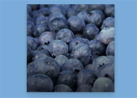 CSS Border Animation Examples To Use