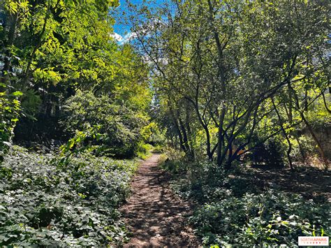 Balade Sur La Petite Ceinture Du 14 Au 16e Arrondissement Un Sentier