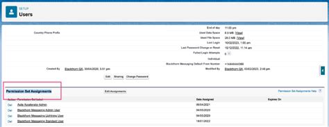 Assign New Permission Sets
