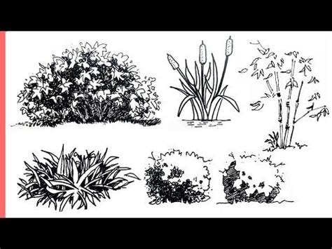 How To Sketch BUSHES Tutorial For Beginners Step By Step YouTube Ink Drawing