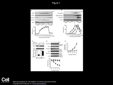 Volume 47 Issue 3 Pages August 2012 Ppt Download