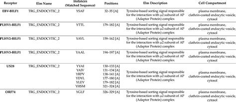 Predicted Eukaryotic Linear Motifs Elm In Vgpcrs Download Scientific Diagram