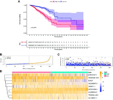 The Relationship Between The Cc Patients Prognosis And The Predicting Download Scientific