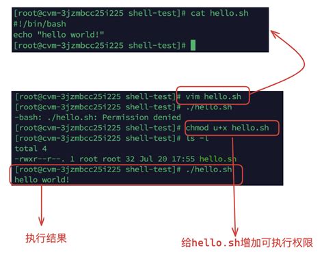 Shell编程入门指南 Csdn博客