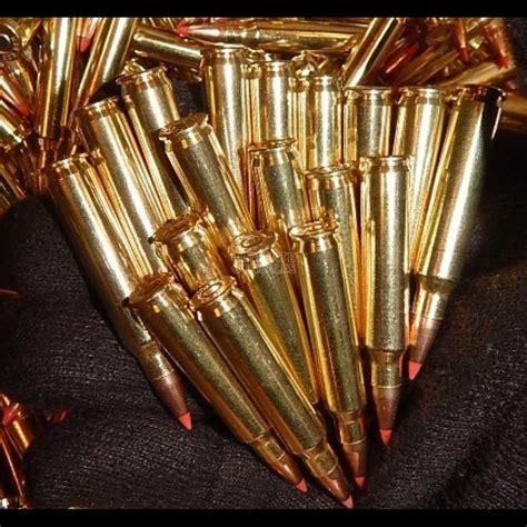 Buy 1000 223 55gr Vmax New Premium Brass 556x45 223 Firearms Online