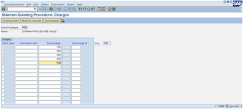 Dunning Procedure Fico Sap Fico