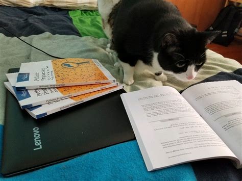 Dmitry Zinoviev🇺🇦 On Linkedin Dzpythonic Pythonprogramminglanguage Pythonprogramming