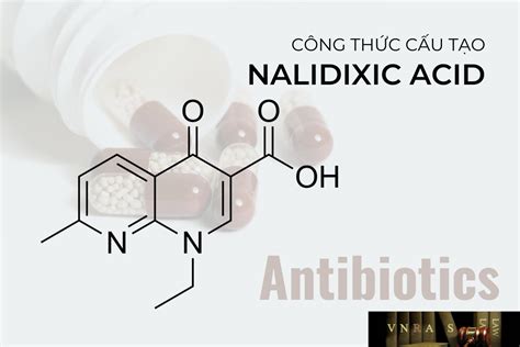 Thông Tin Thuốc Nalidixic Acid Thuốc Kháng Sinh Nhóm Quinolon